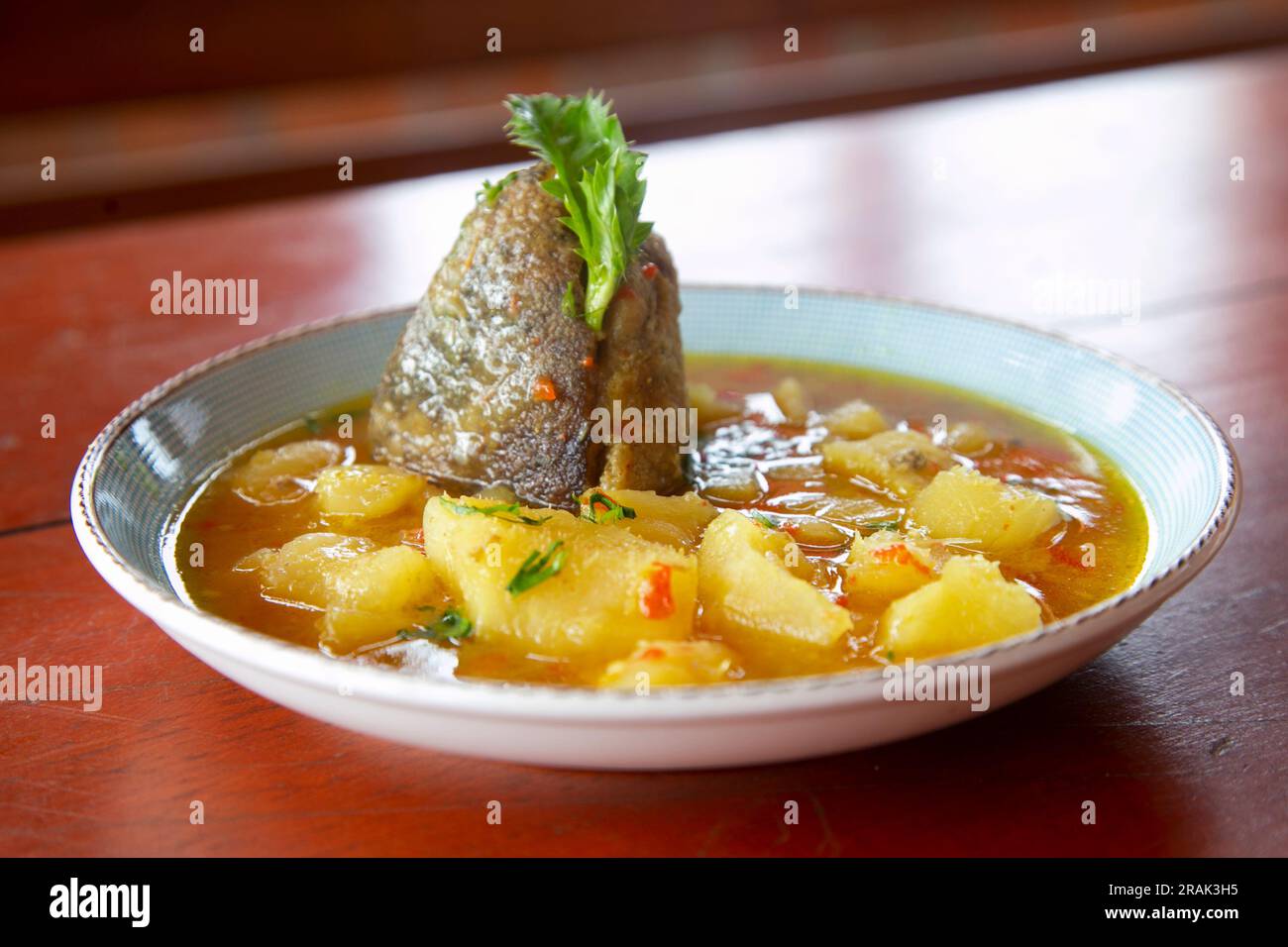 Majaz stewed. The majaz or paca is a species of rodent for meat that is ...
