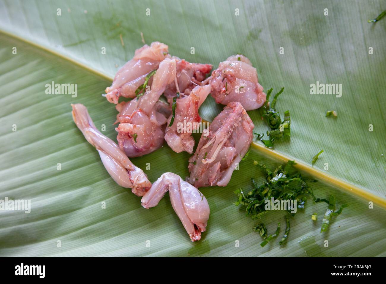 Jungle Frog recipe.The patarashca consists of a dish with ingredients ...