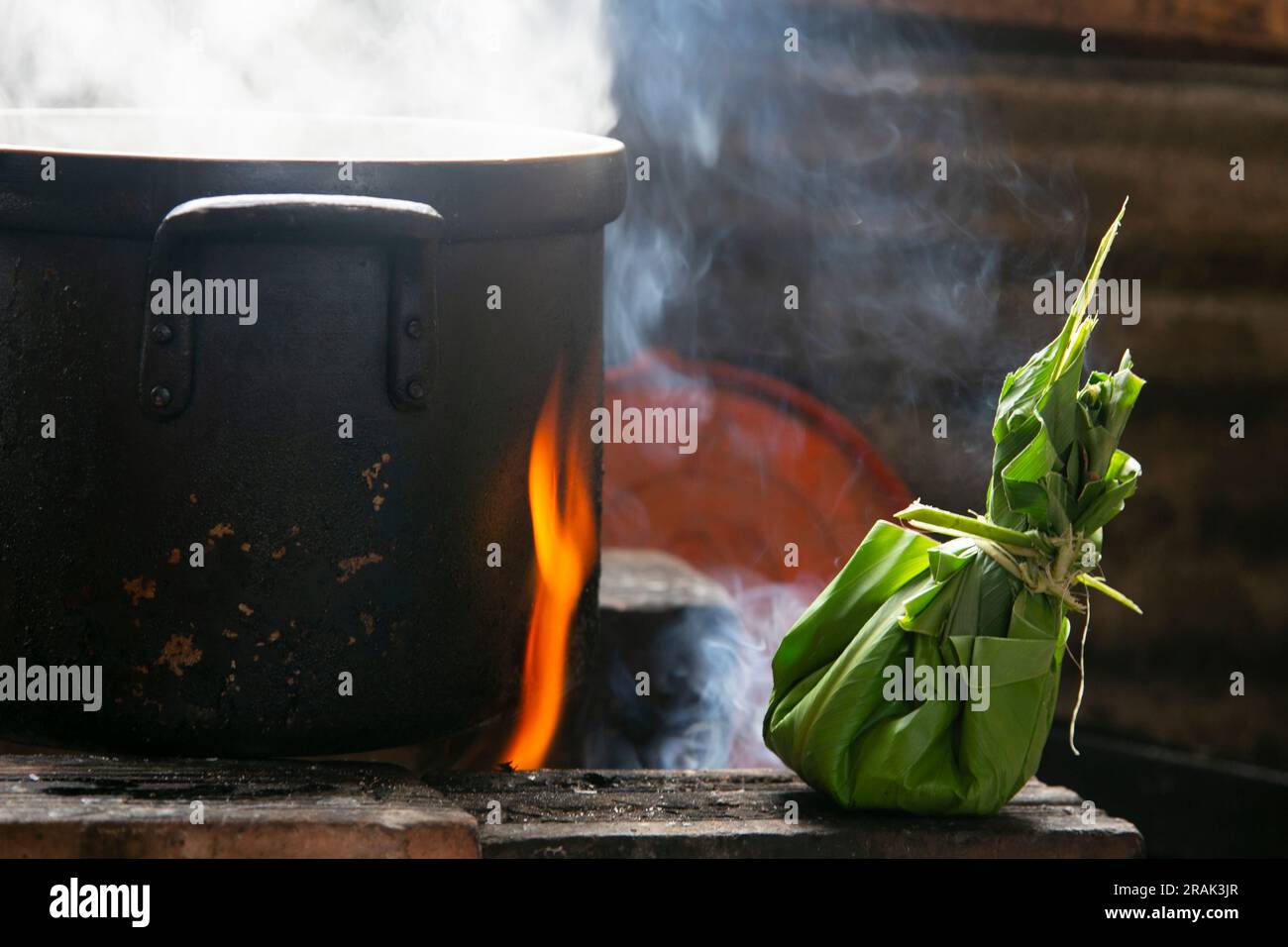 Jungle patarashca hi-res stock photography and images - Alamy