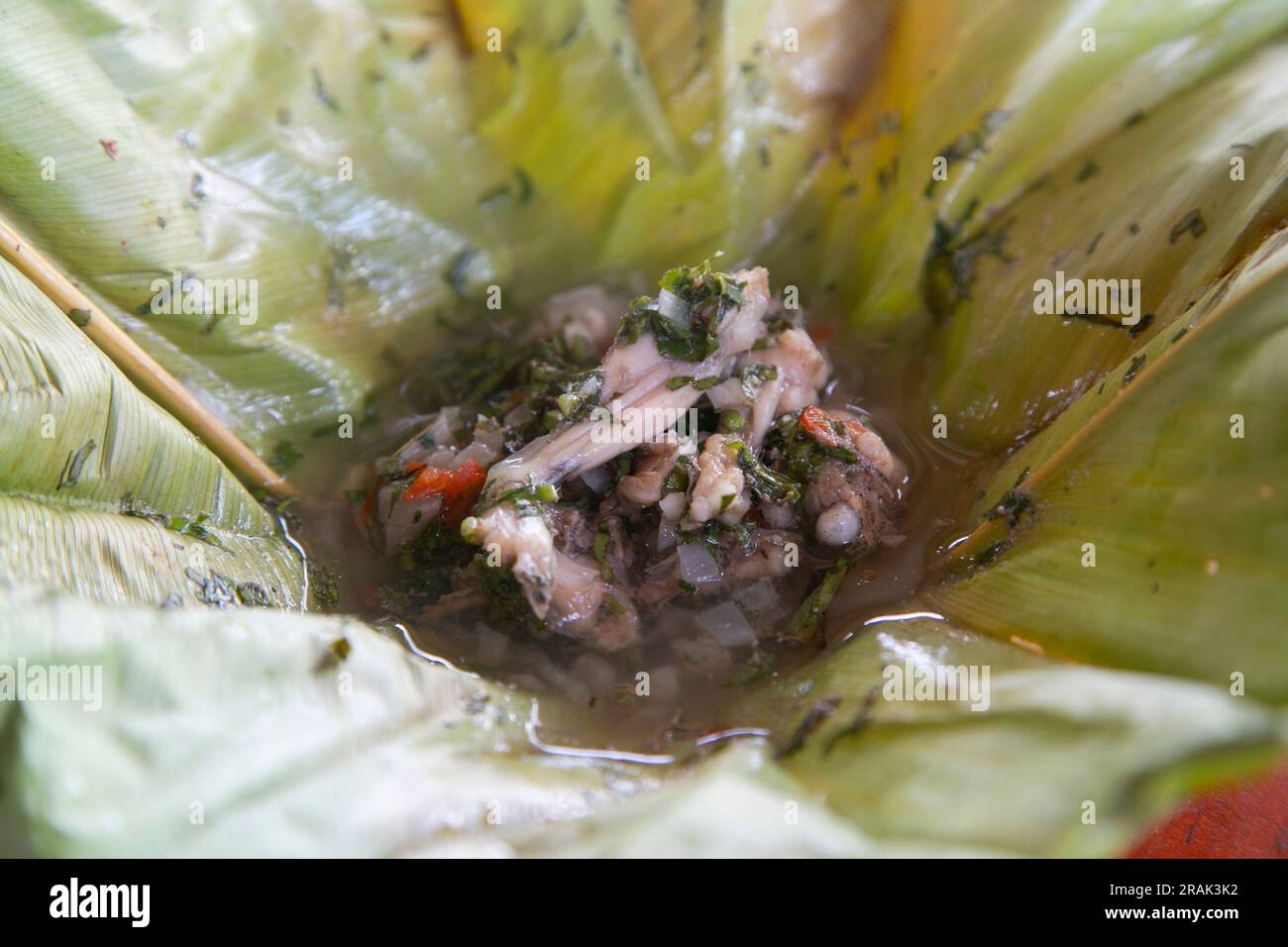 Jungle Frog recipe.The patarashca consists of a dish with ingredients ...