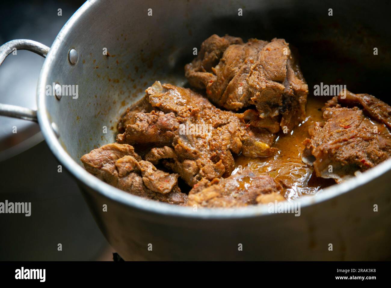 Paca rodent hi-res stock photography and images - Alamy