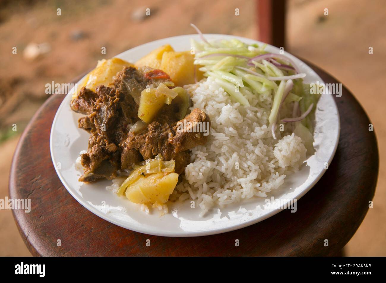 Majaz stewed. The majaz or paca is a species of rodent for meat that is ...