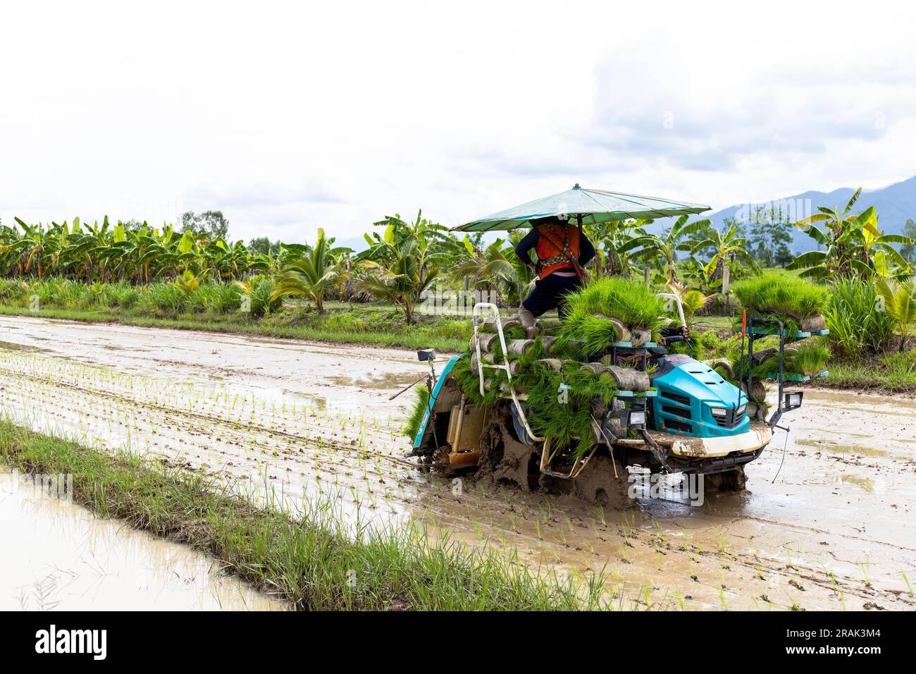 the latest advancements in rice planting machines and agricultural ...