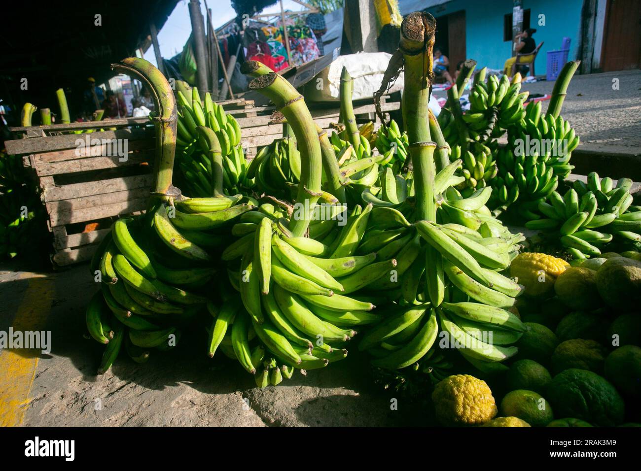 Variety of Peruvian banana from the Peruvian jungle area in the Amazon ...