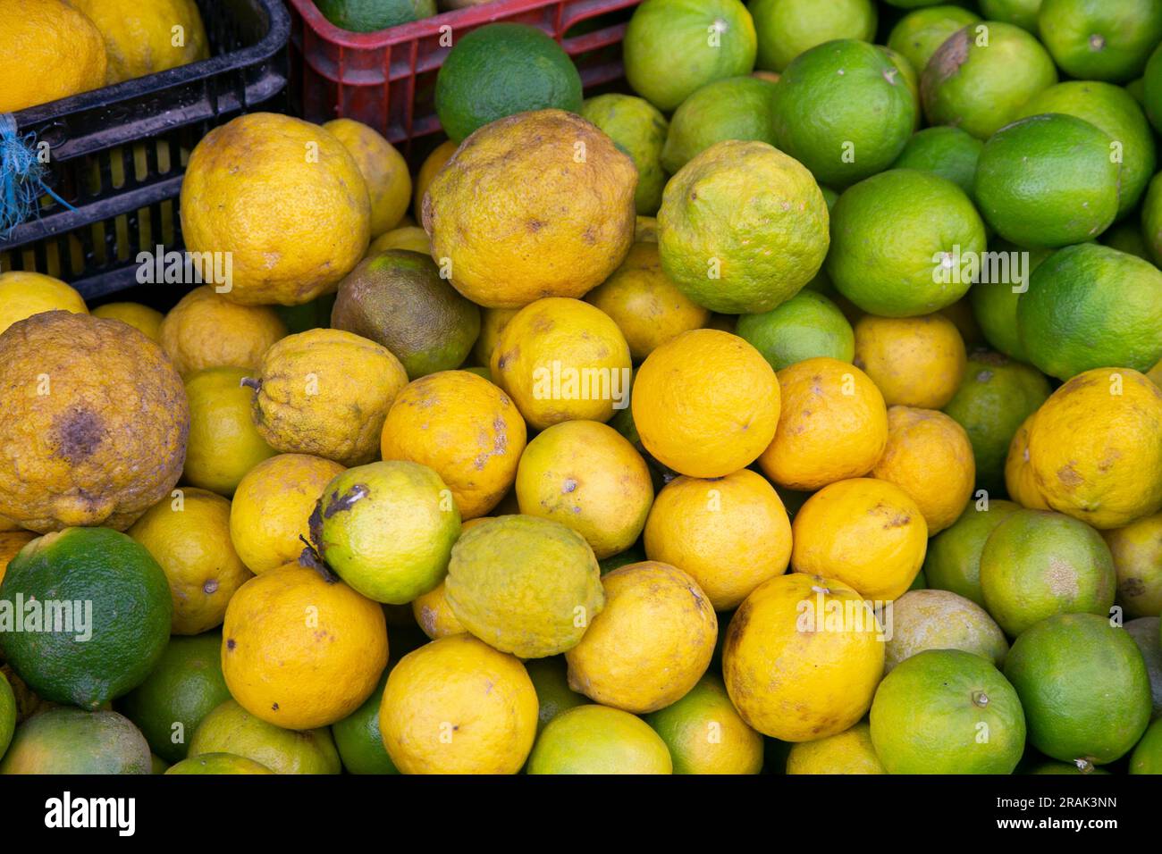 Variety of Peruvian lemons from the Peruvian jungle area in a market in ...