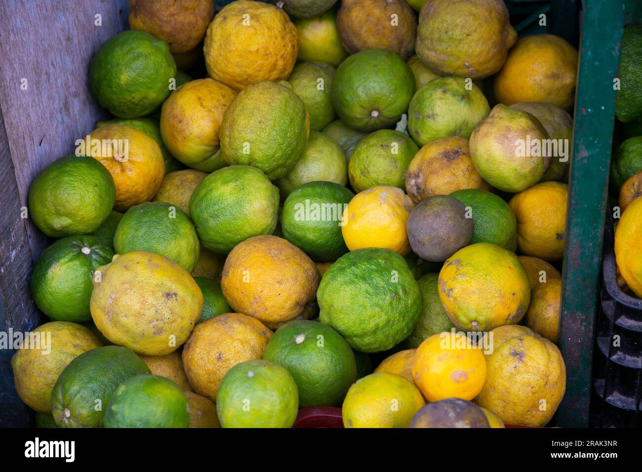 Variety of Peruvian lemons from the Peruvian jungle area in a market in ...