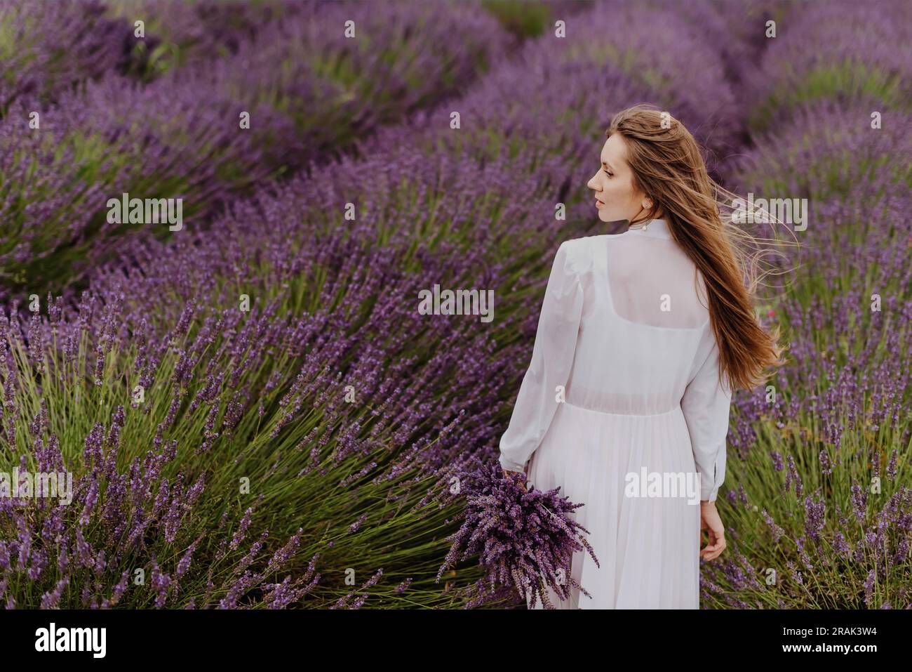 Half Turn Woman Walking on Lavender Field Stock Photo - Alamy