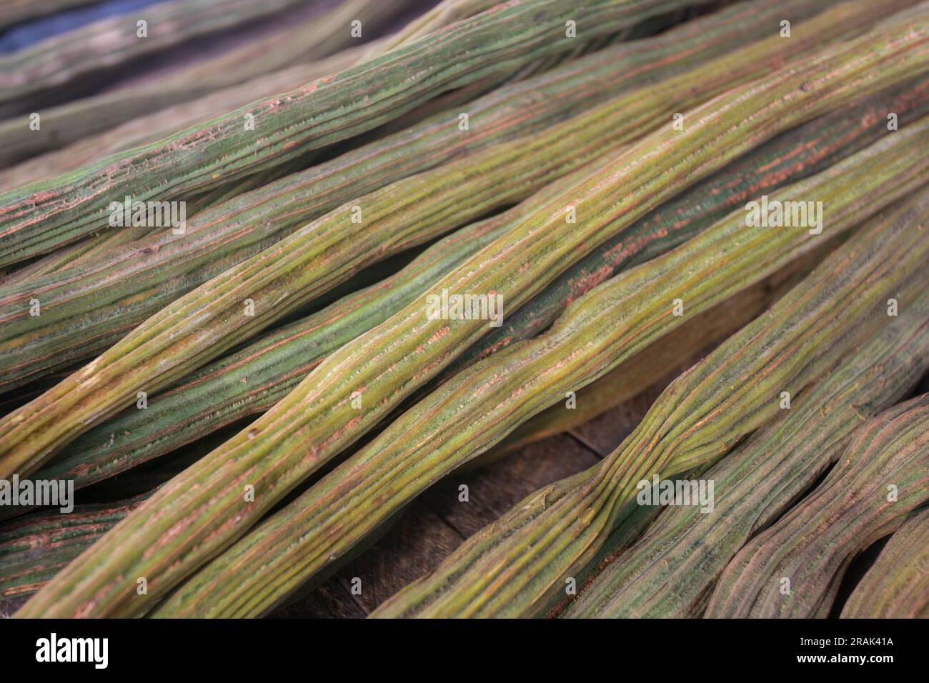 Guama Fruit. Its fruit comes in a generally thick pod, inside are its ...