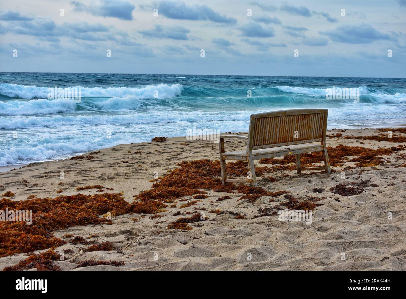 Sea views from the bench Stock Photo - Alamy