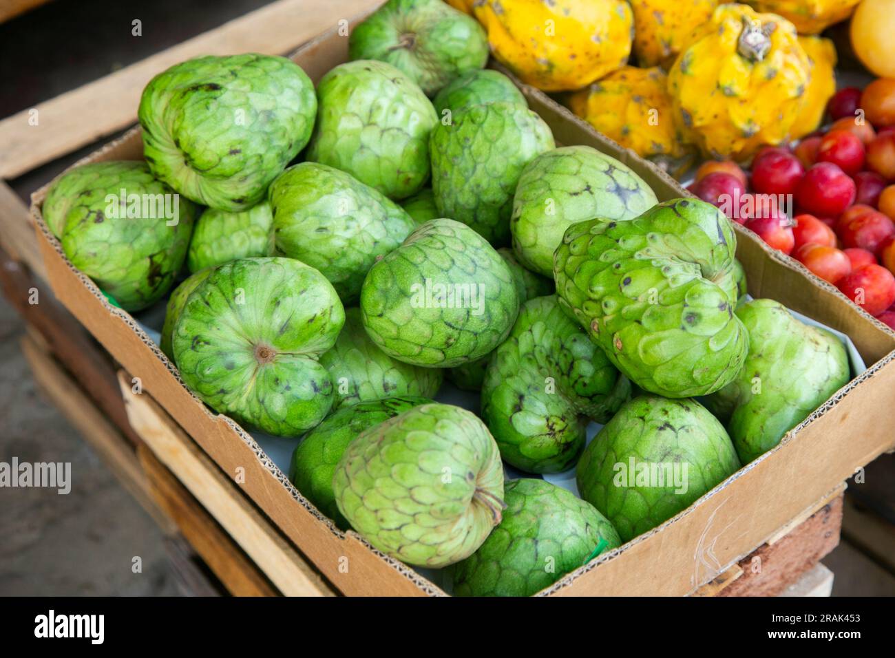 Custard apple from an organic plantation in a bucket at a market in ...
