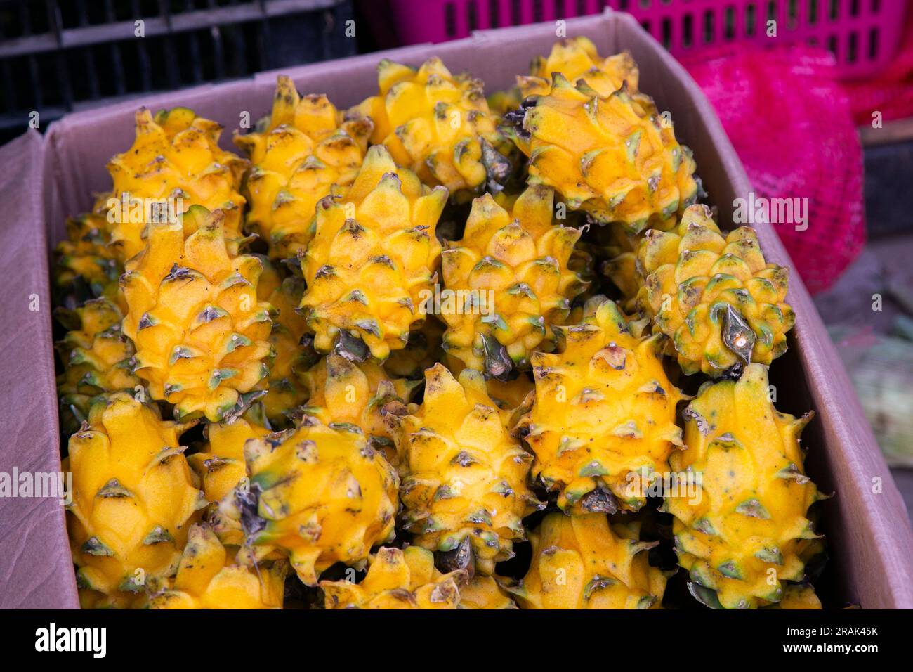 Yellow Pitahaya in a street market in Tarapoto in the Peruvian jungle ...