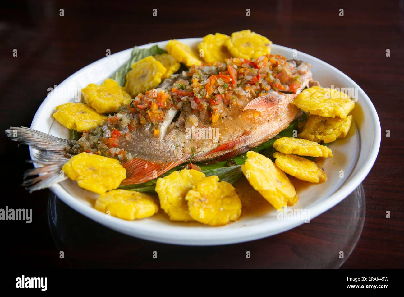 Jungle patarascha hi-res stock photography and images - Alamy