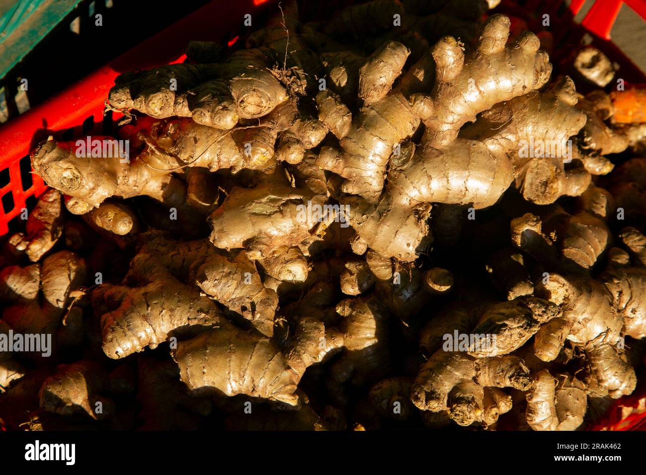 Ginger from an organic plantation in a bucket at a market in Tarapoto ...