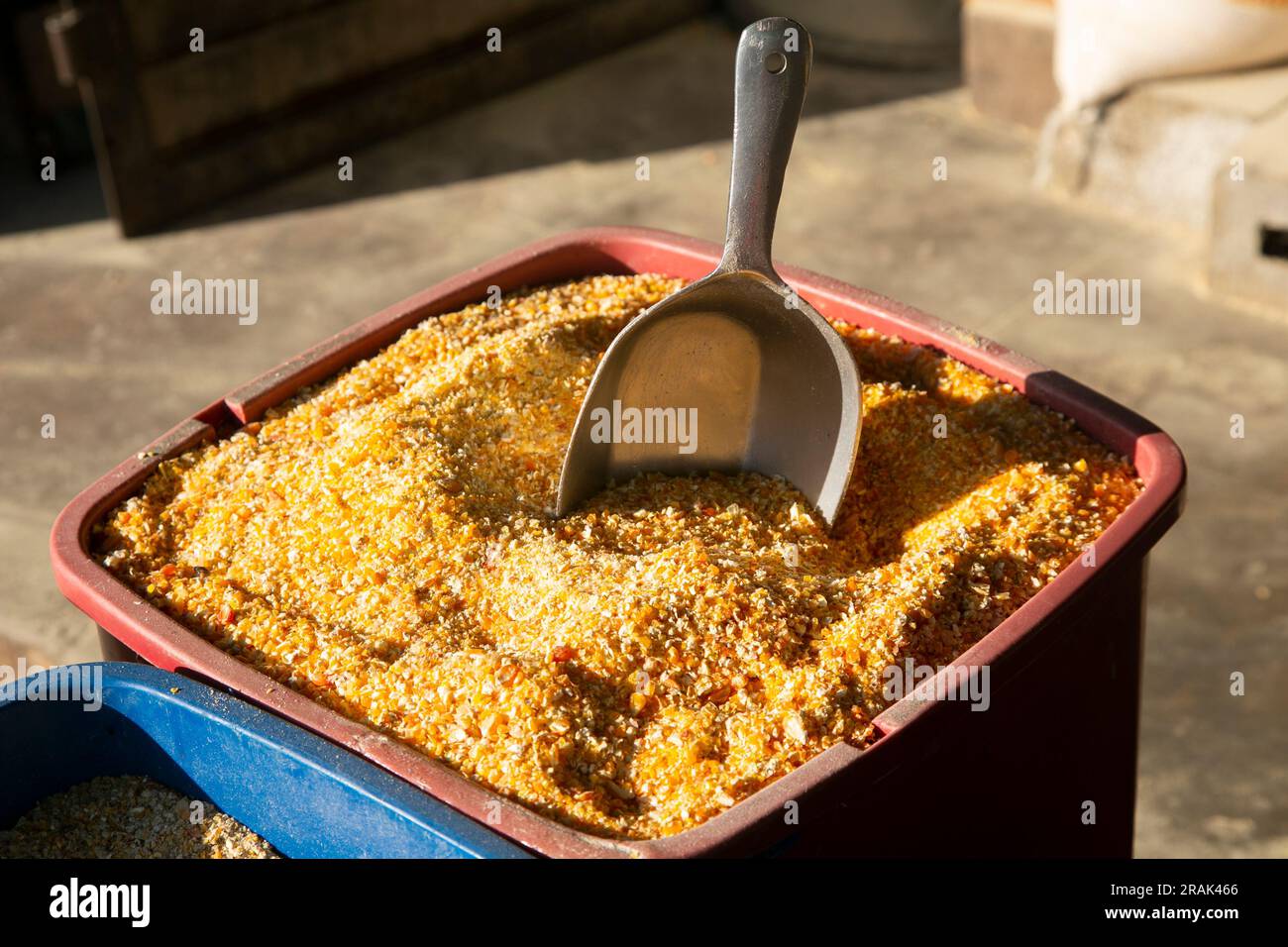 Ground corn is the product of grinding semillina broken corn, the production is used entirely ...