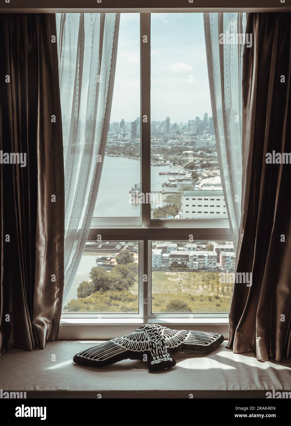 Black bird pillow puts on cushion seat beside the window. Looking ...