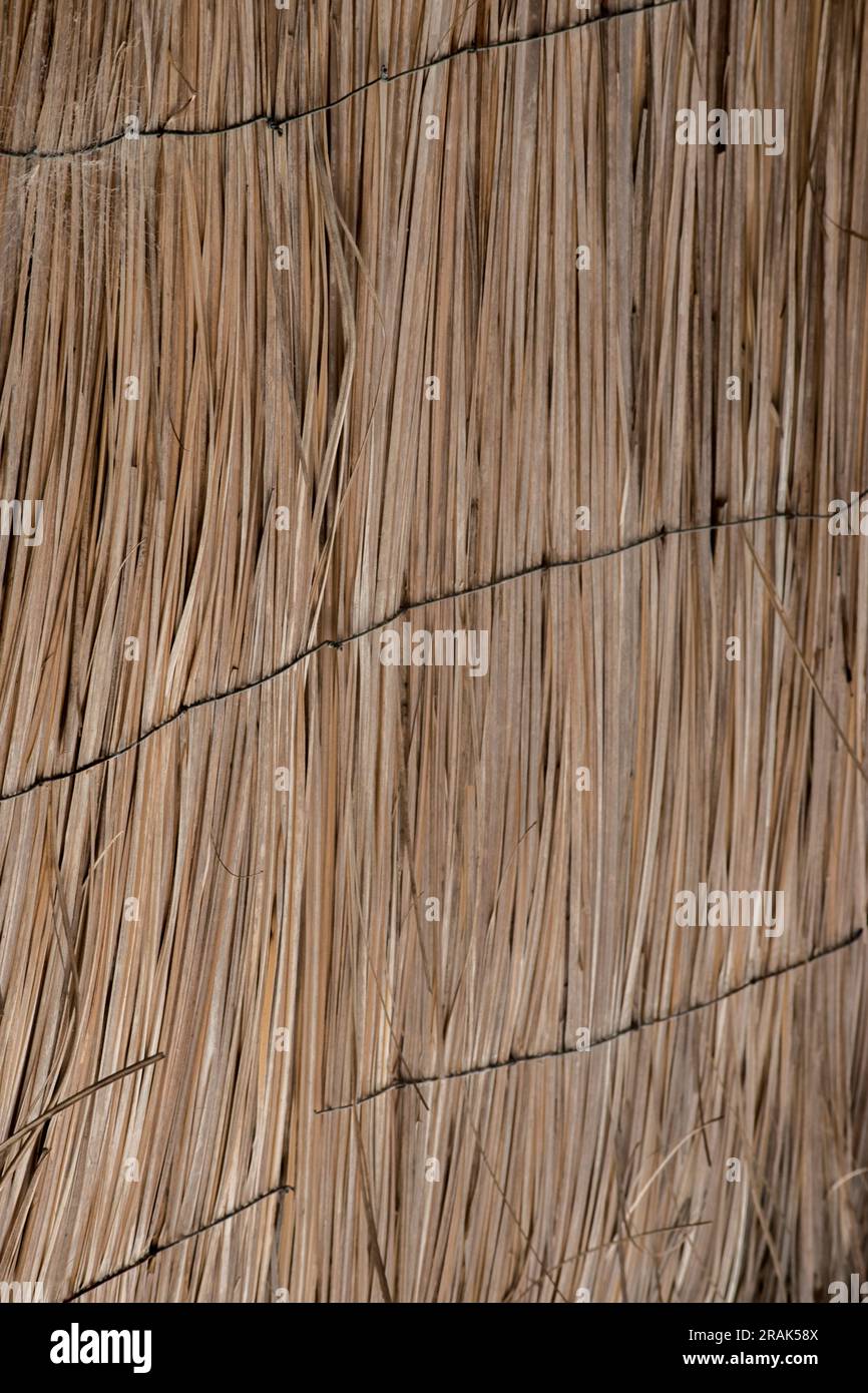 texture of a thatched roof Stock Photo - Alamy