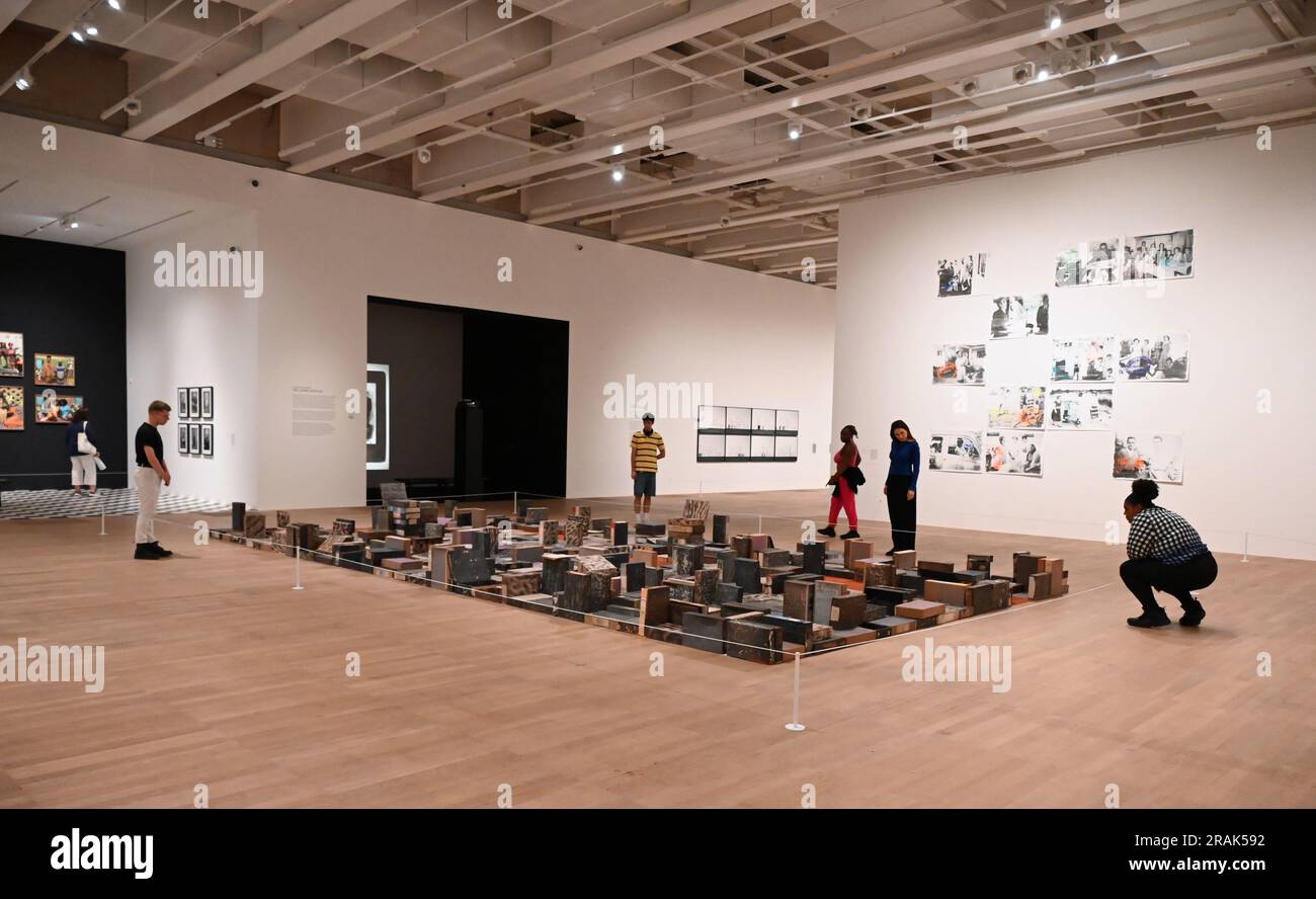 Tate Modern launches a major new exhibition celebrating the dynamic ...