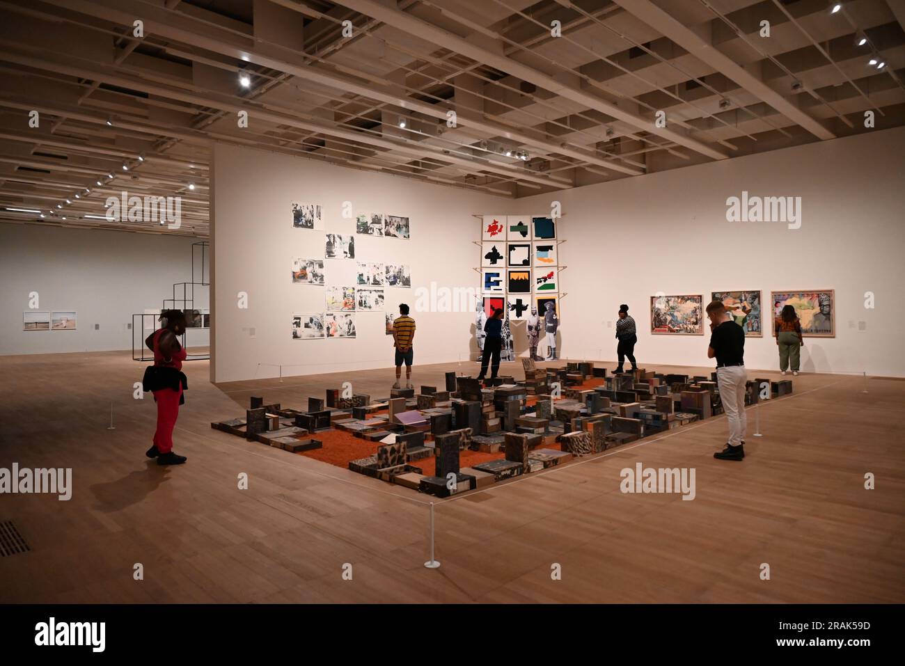 Tate Modern launches a major new exhibition celebrating the dynamic ...