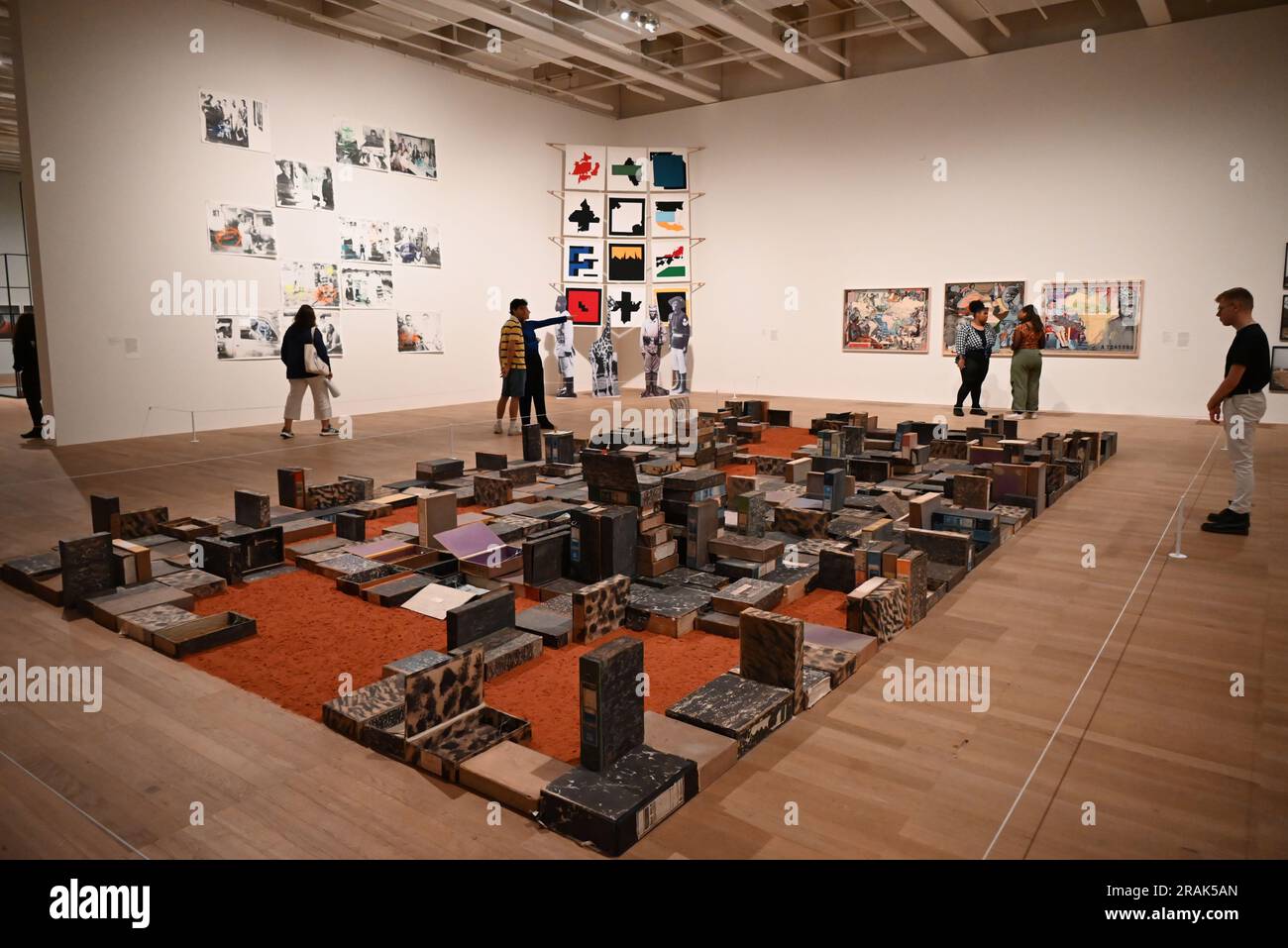 Tate Modern launches a major new exhibition celebrating the dynamic ...