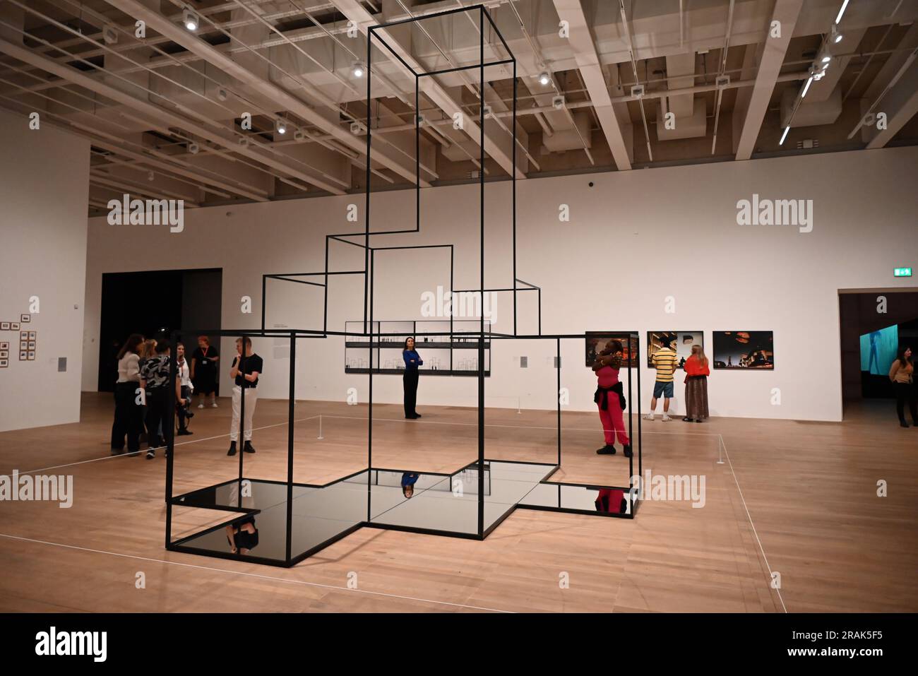 Tate Modern launches a major new exhibition celebrating the dynamic ...