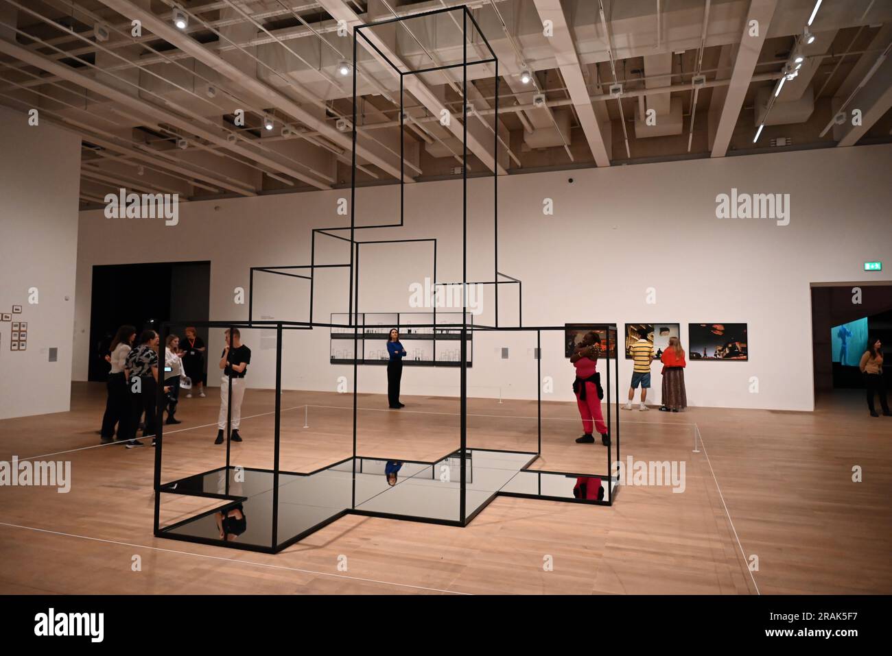 Tate Modern launches a major new exhibition celebrating the dynamic ...