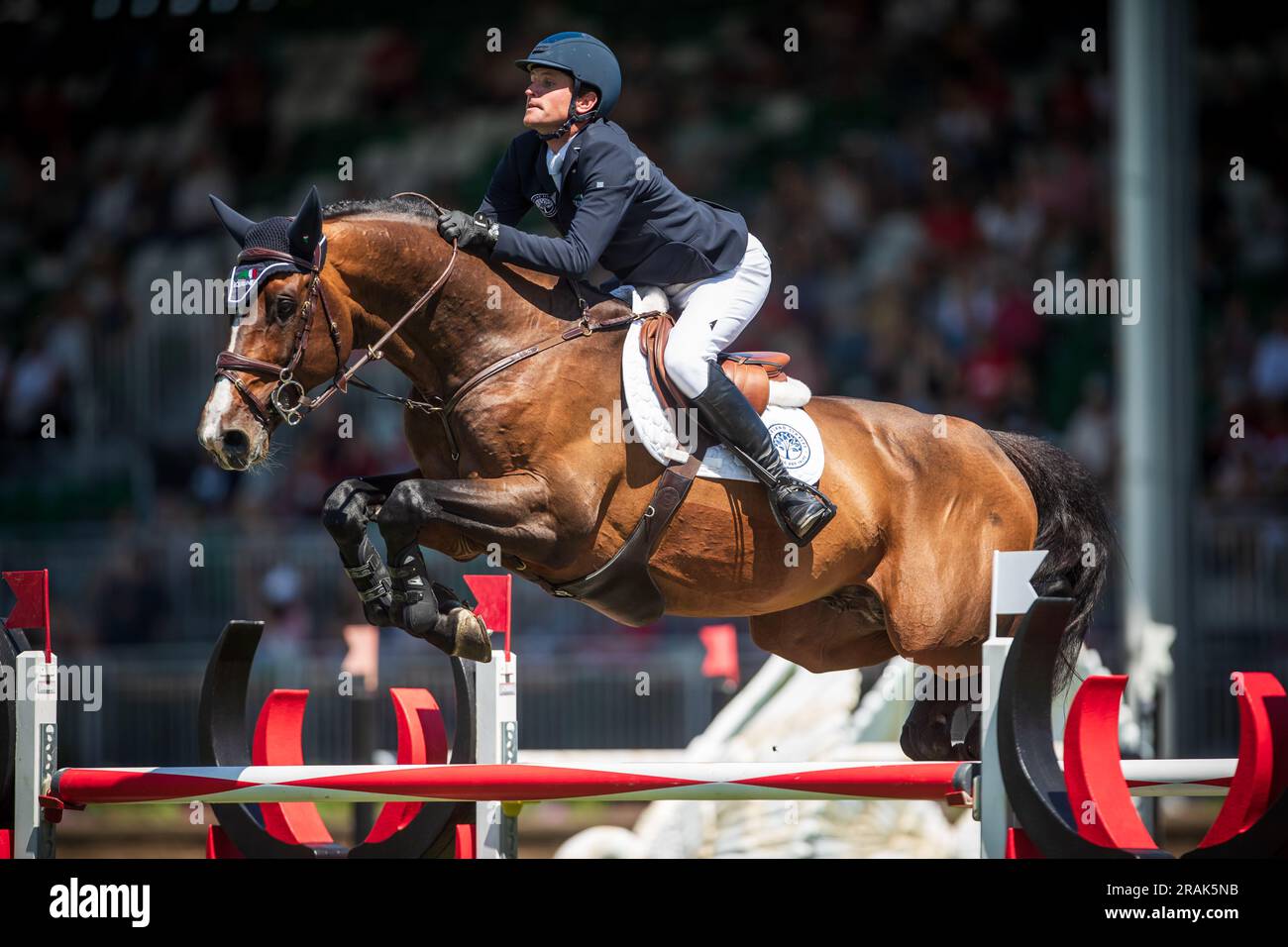 Sampson horse hi-res stock photography and images - Alamy