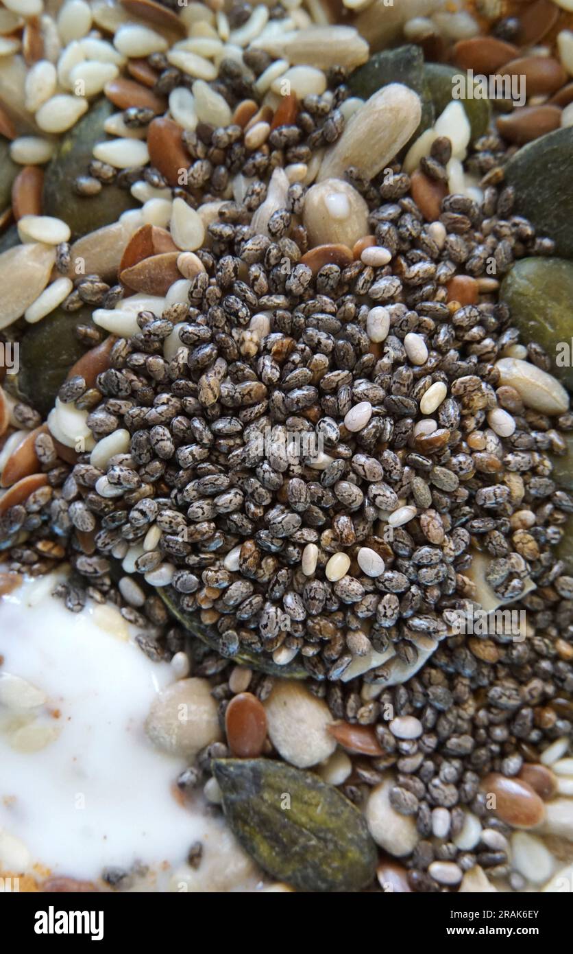 Healthy breakfast ingredients cereals, , seeds and joghurt close up ...
