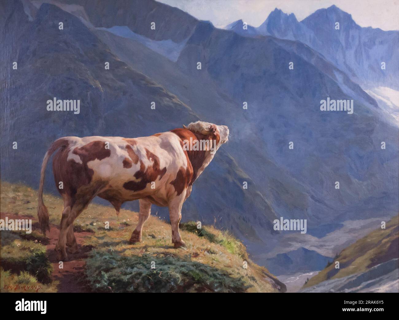 bull in the Alps 1884 by Eugène Burnand Stock Photo - Alamy
