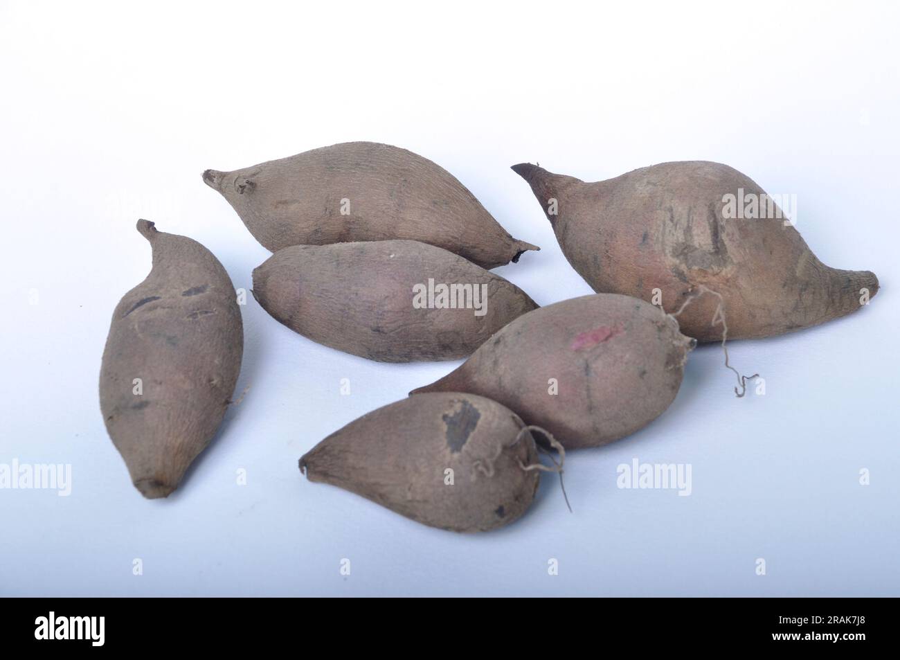 Yacon roots hi-res stock photography and images - Alamy