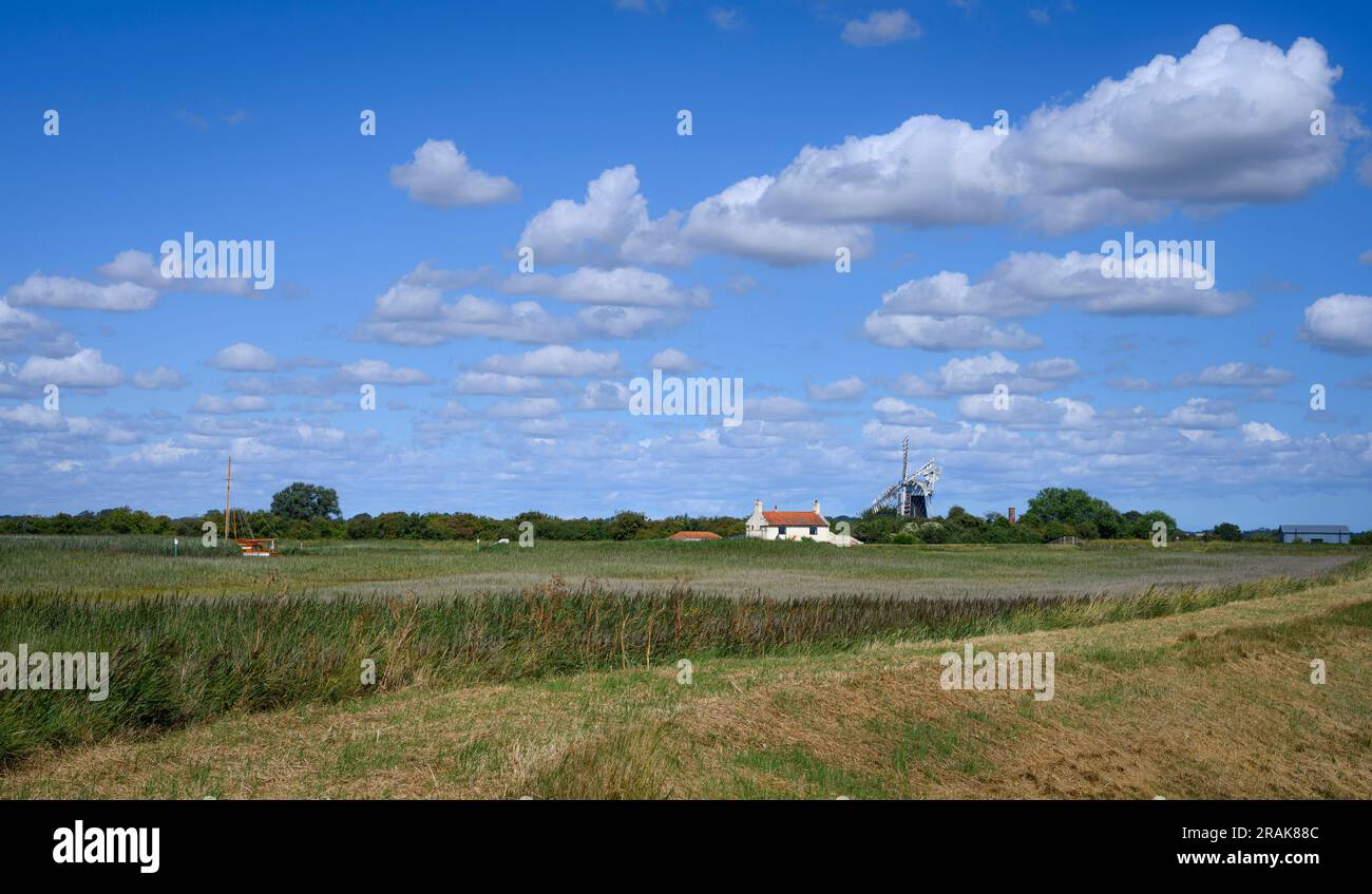 Polkey's mill and across the reeds on a summers day Stock Photo - Alamy