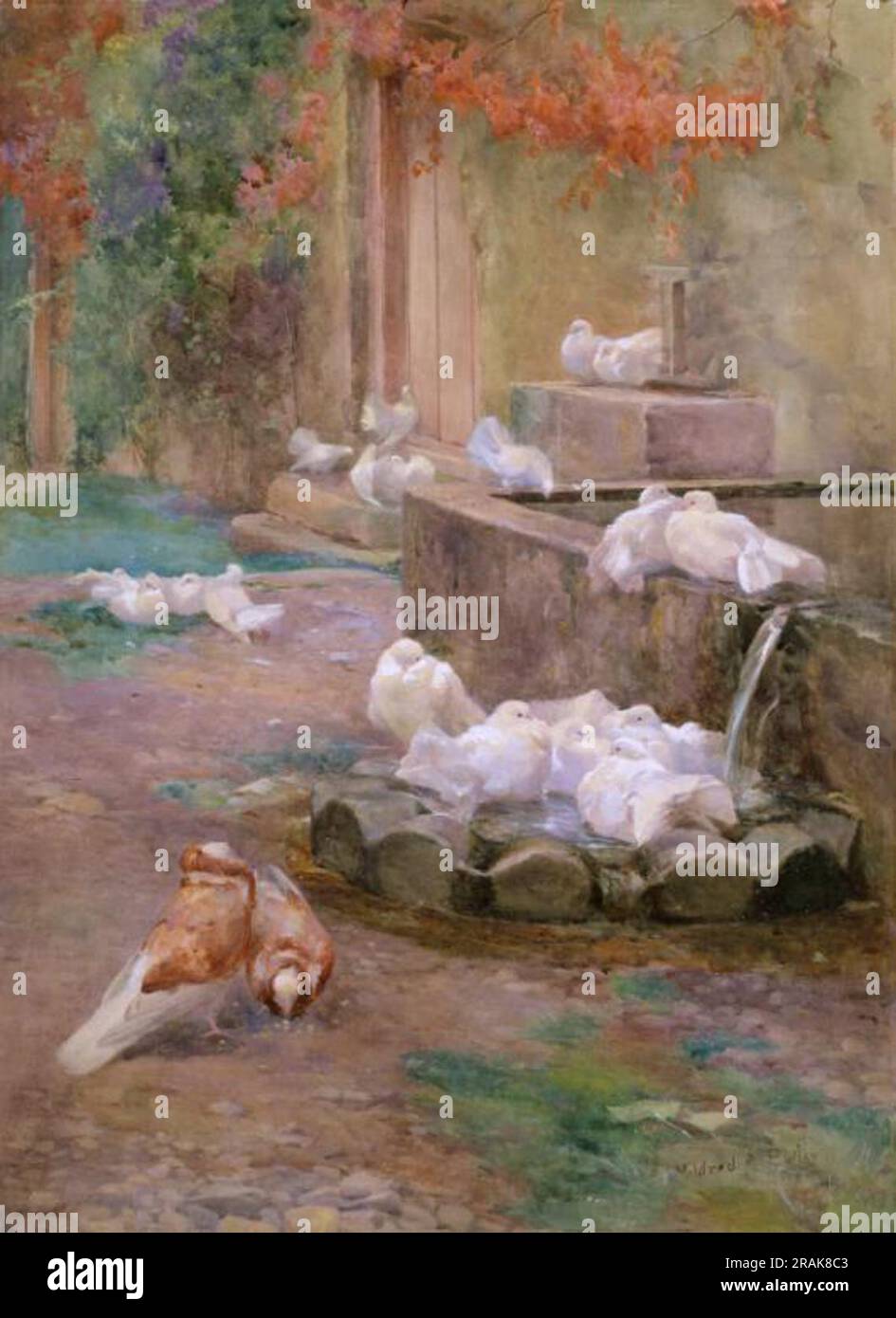 Morning Bath 1896 by Mildred Anne Butler Stock Photo - Alamy