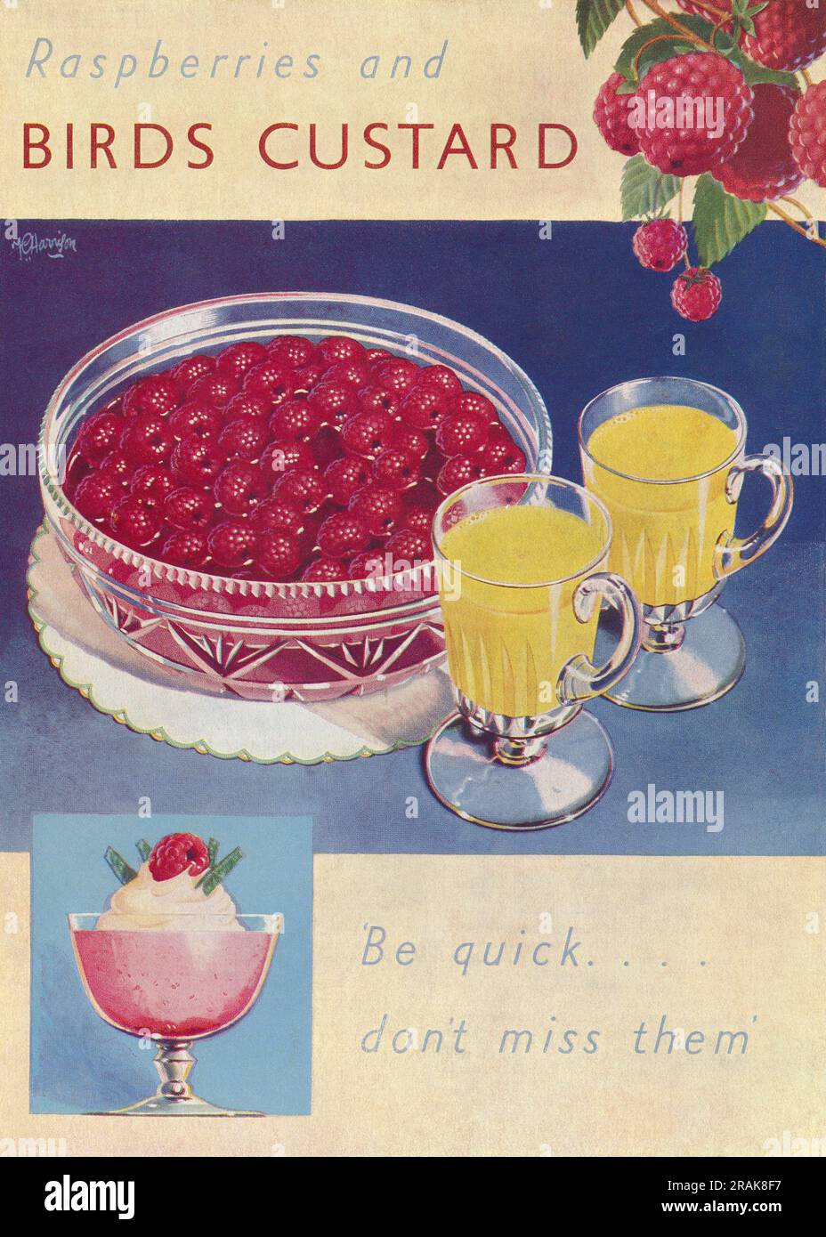 Birds custard powder 1930s hi-res stock photography and images - Alamy