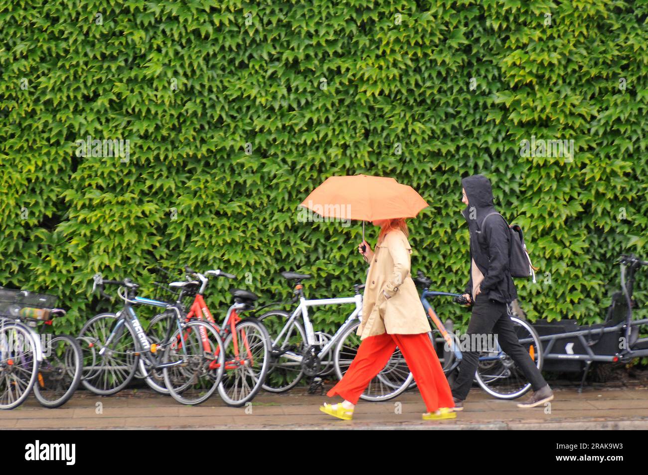 04 July 2023/ Person walking rain fall in danish capital Copenhagen ...