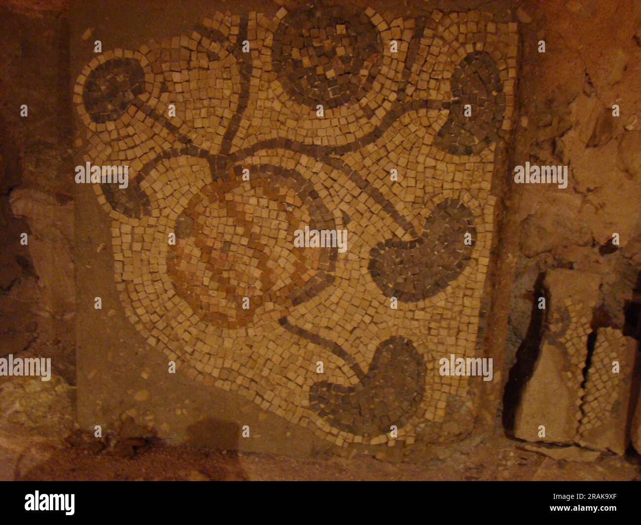 Beth alfa synagogue mosaic hi-res stock photography and images - Alamy