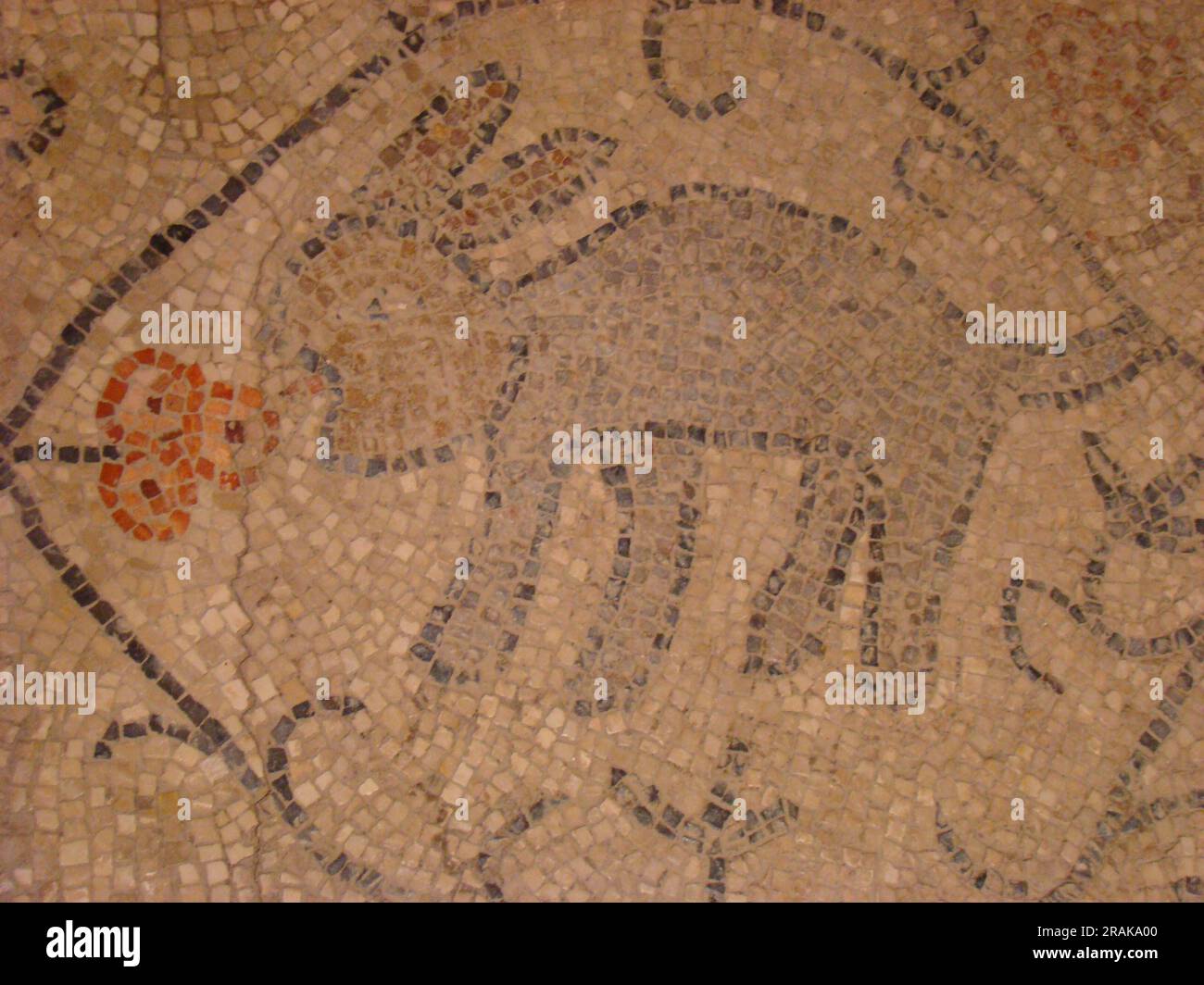 Beth Alfa Synagogue Mosaic 527 by Byzantine Mosaics Stock Photo - Alamy