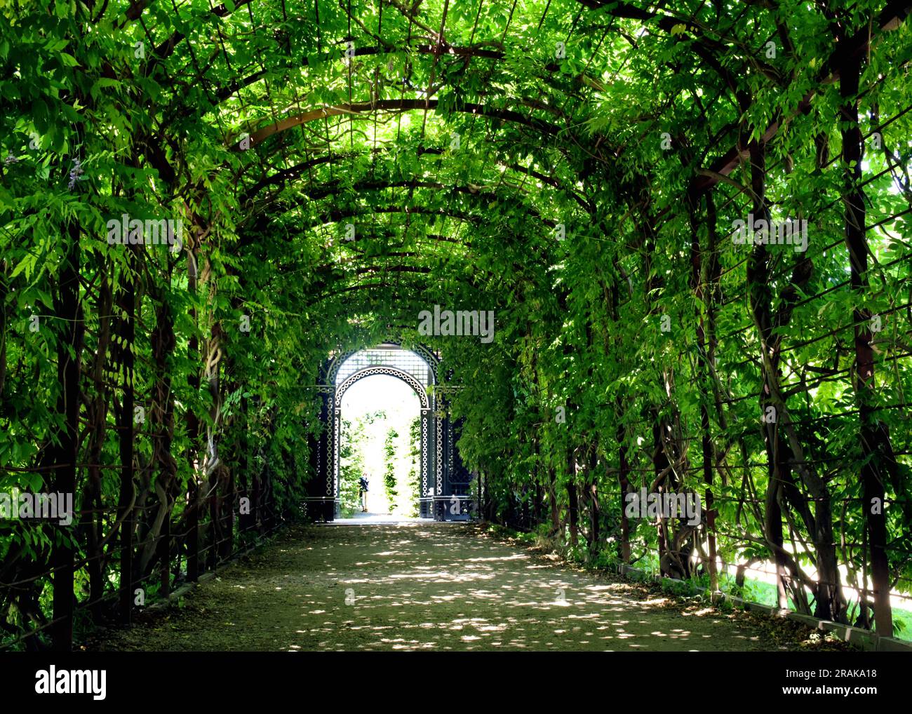 arched arbor pathway in soft green, yellow and brown colors. gravel ...