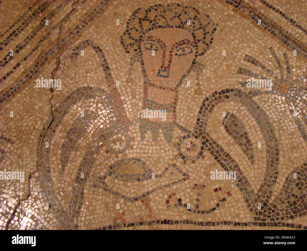 Beth Alfa Synagogue Mosaic 527 by Byzantine Mosaics Stock Photo - Alamy