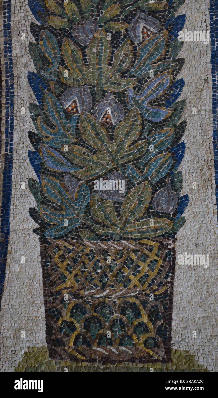 Central intrados decoration of the mausoleum of galla placidia hi-res ...