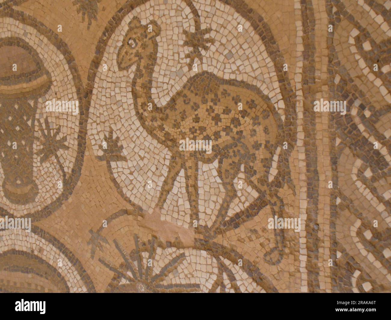 Giraffe in the Church Mosaic at Petra 550 by Byzantine Mosaics Stock ...