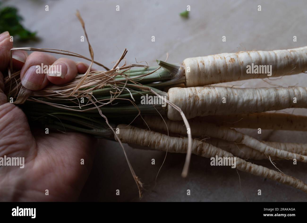 Holding parsley plant hi-res stock photography and images - Alamy