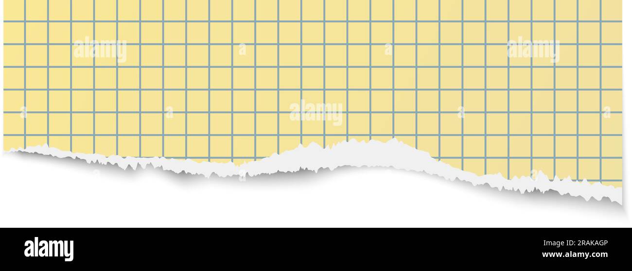 Checkered page with torn edge. Ripped paper piece isolated on white background Stock Vector ...