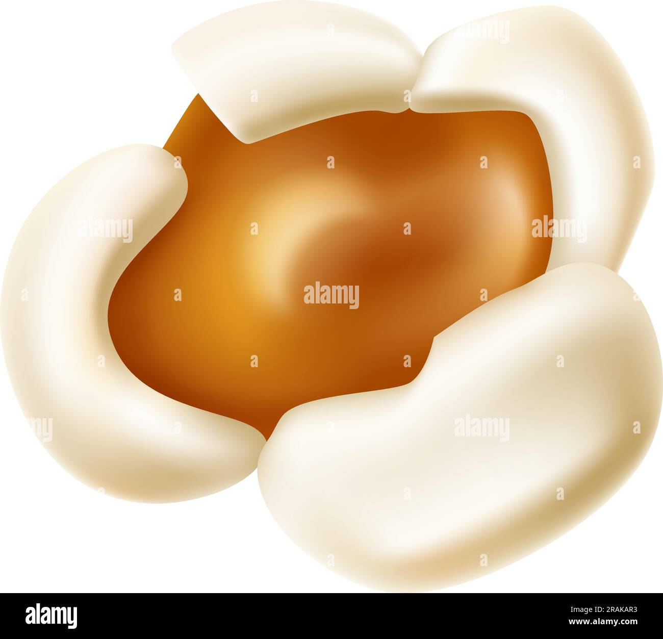 Popcorn kernel icon vector vectors Cut Out Stock Images & Pictures - Alamy