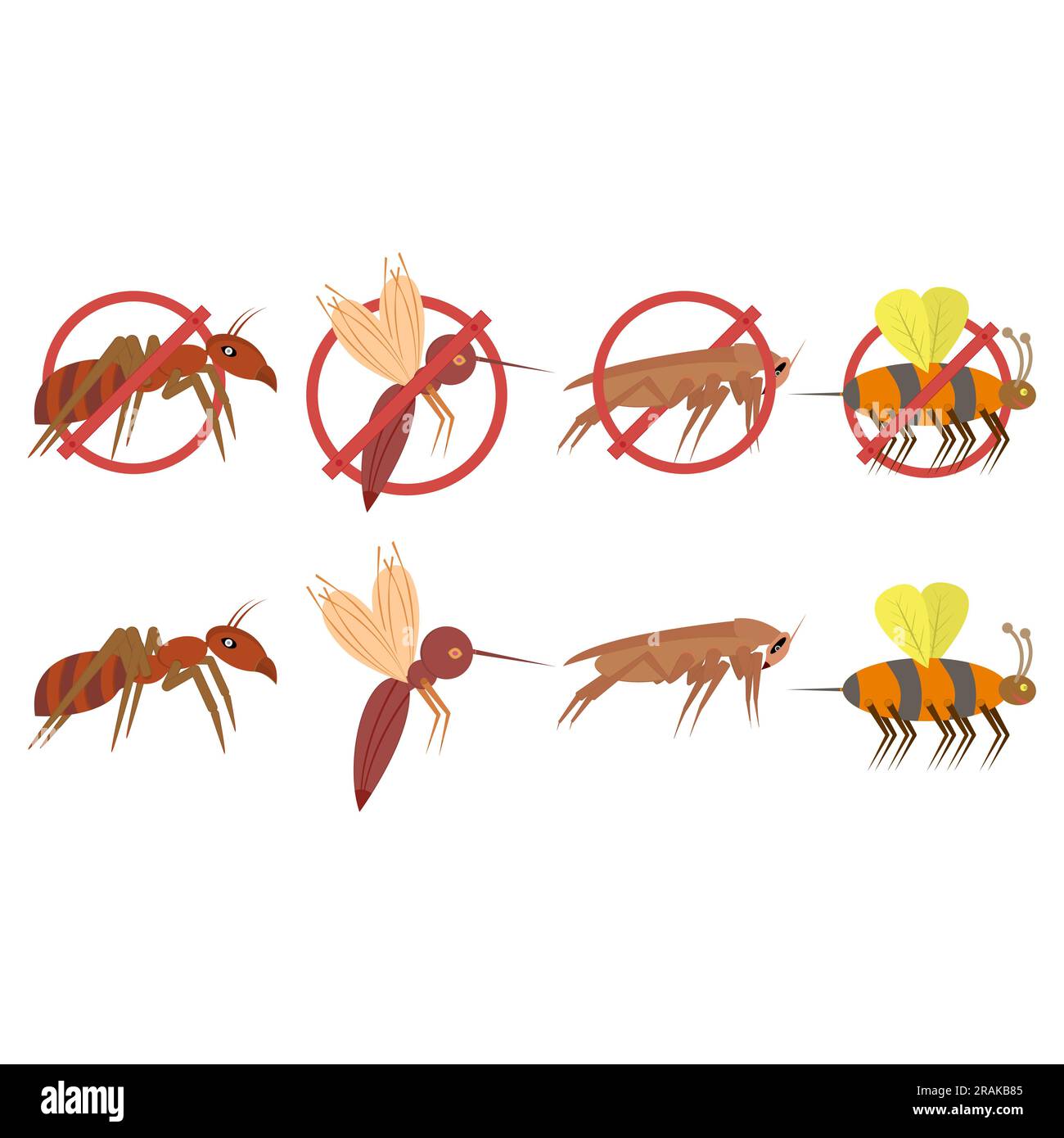 Insect pests vector. Mosquito, cockroach, ant, hornet, gnat and pest ...