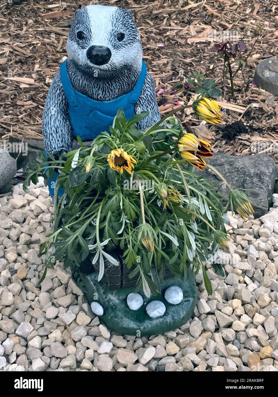 Fun planter hi-res stock photography and images - Alamy