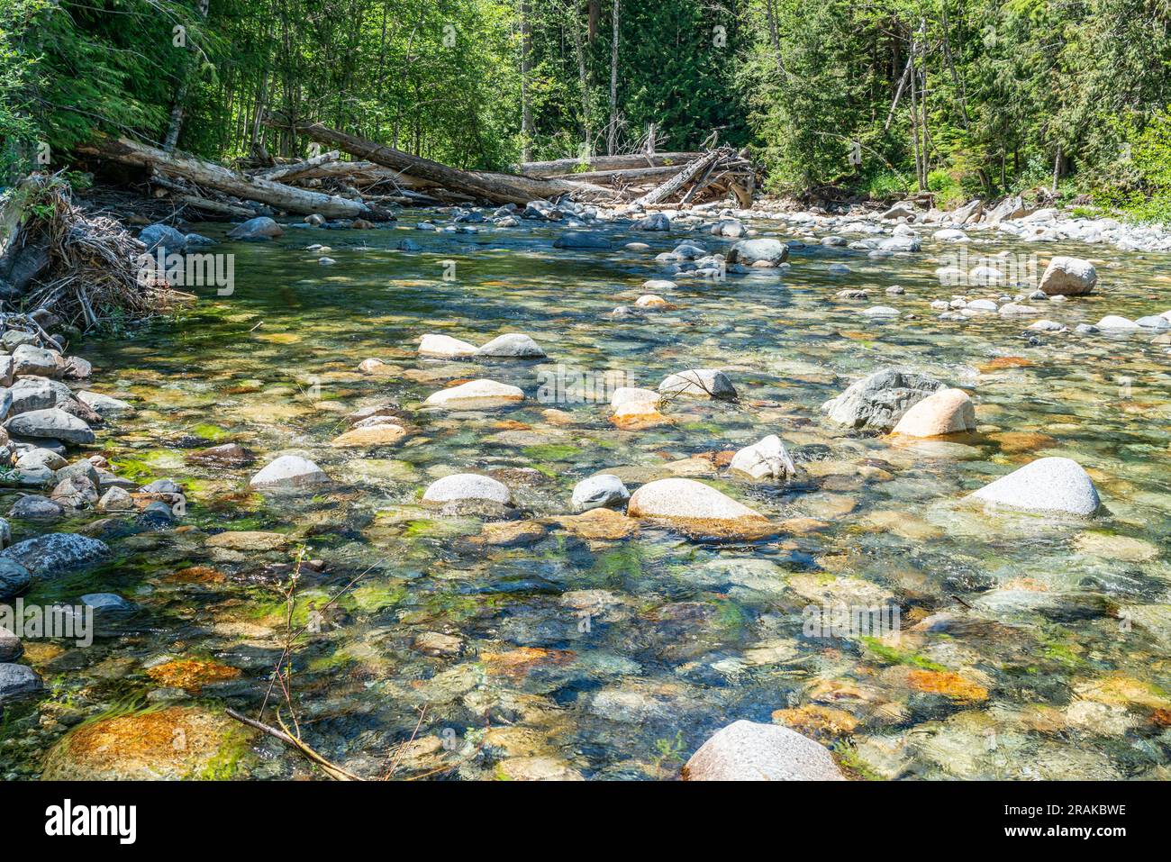 A view of clear water in Denny Creek in Washington State Stock Photo ...