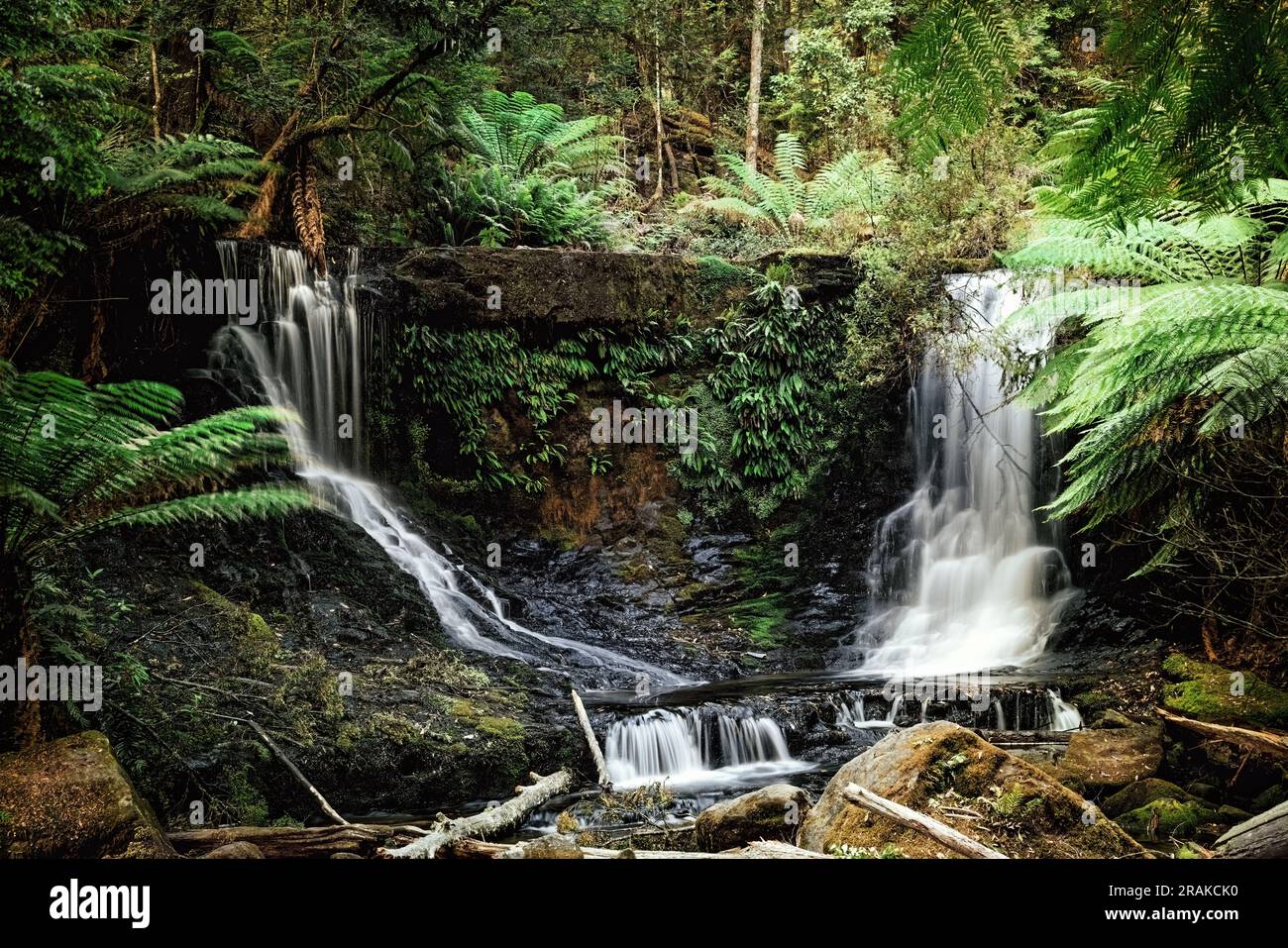 Horseshoe Falls, Mt Field National Park. A beautiful double waterfall ...