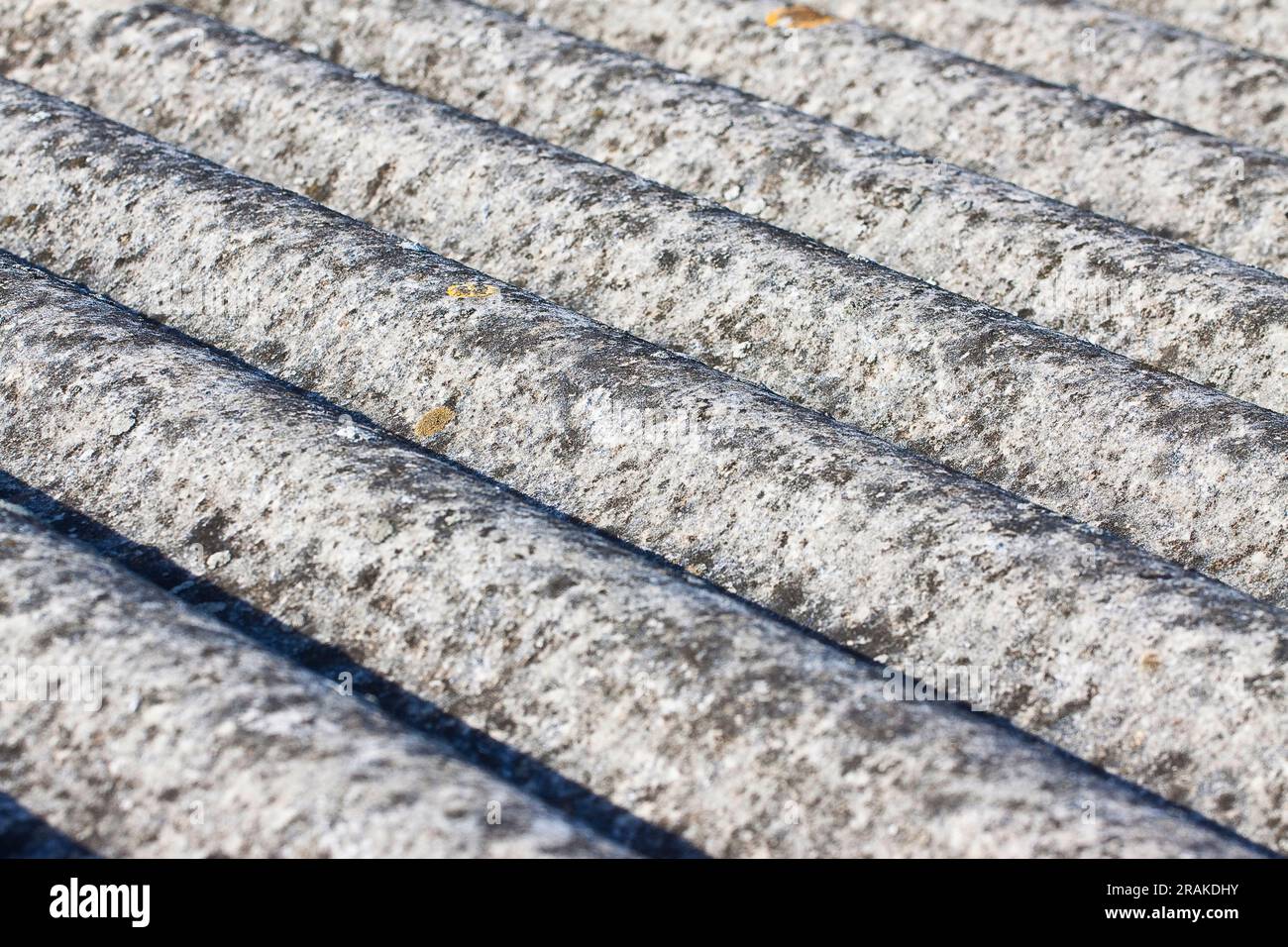 Detail of an old aged dangerous roof made of corrugated asbestos panels ...