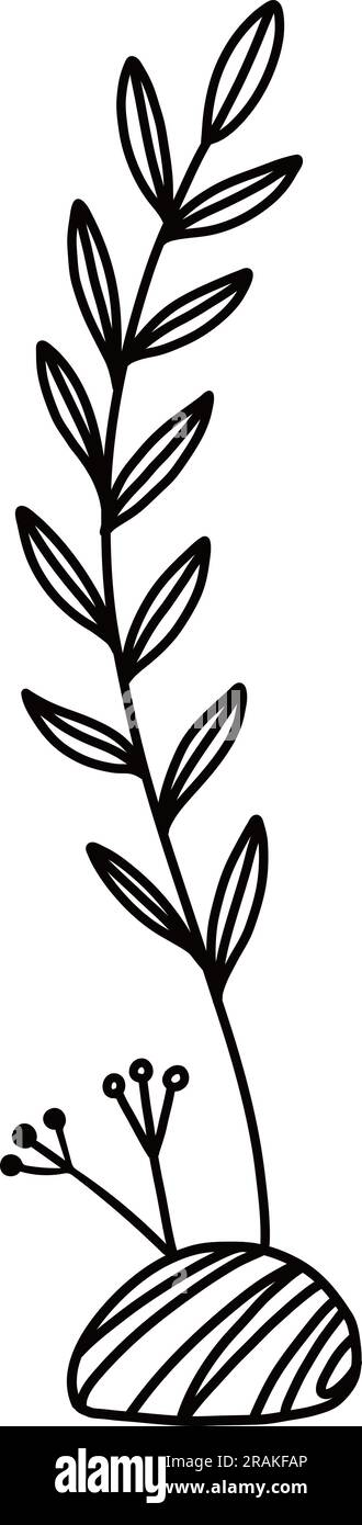 Seaweed sketch. Underwater algae plant in doodle style isolated on white background Stock Vector ...