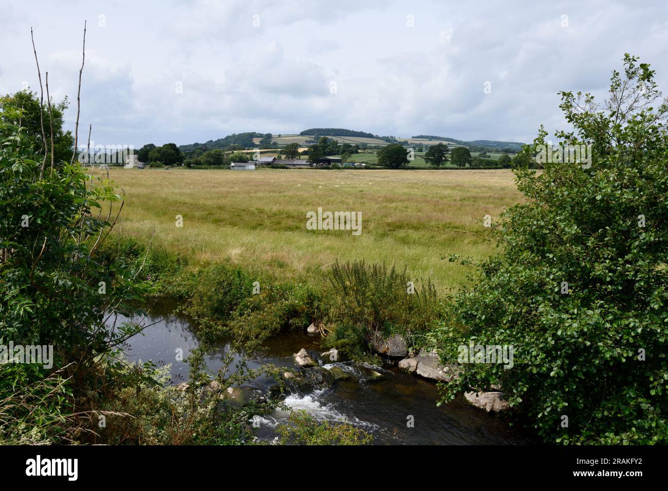 Coly River running through Colyton Town in the Coly Valley East Devon ...