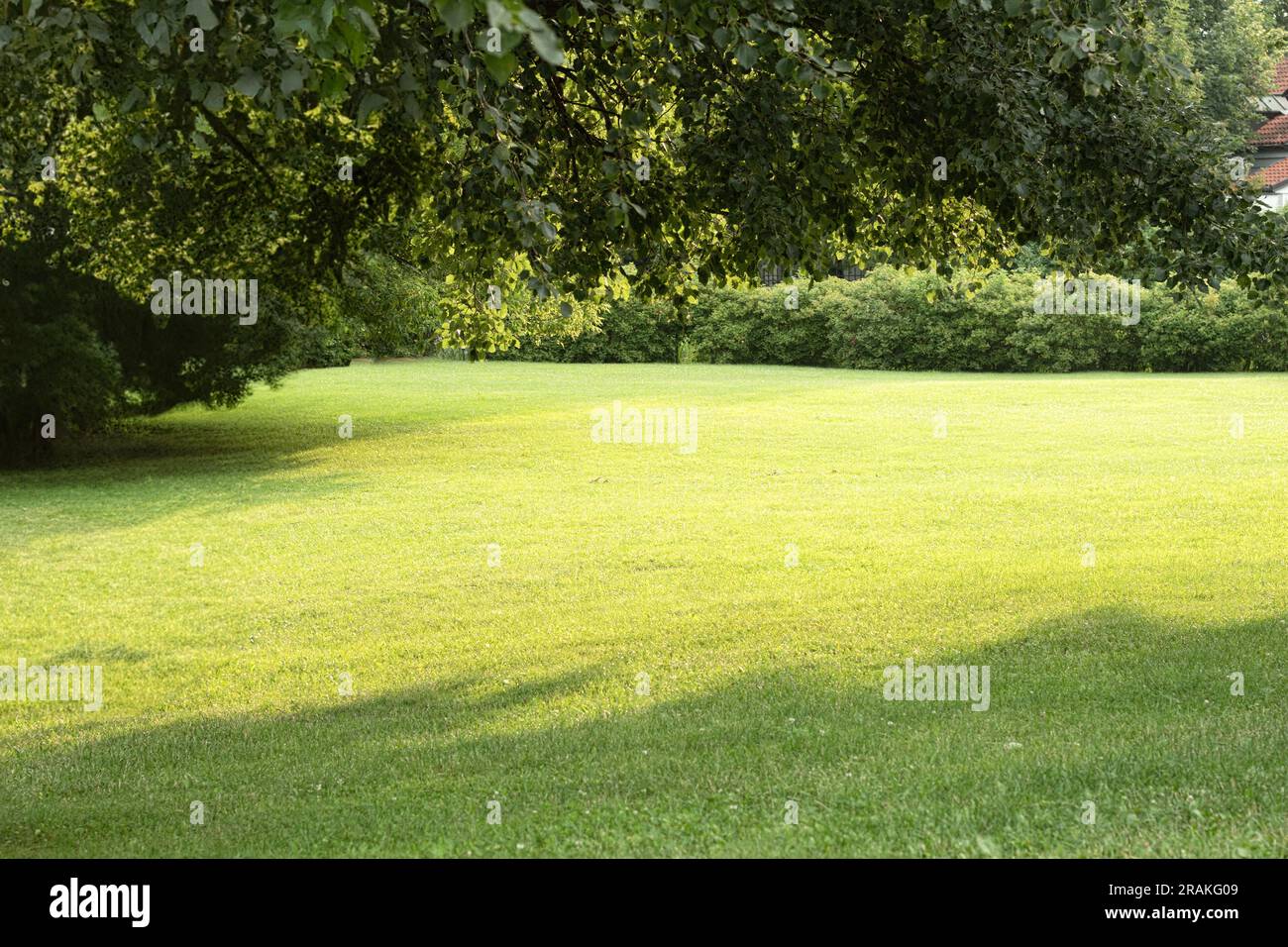 Beautiful landscape in the city park. Real landscape, Trees and lawns ...